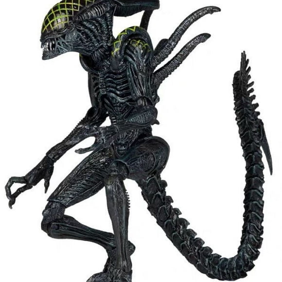 Alien VS Predator Figures