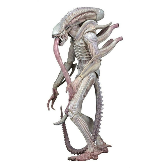 Xenomorph Action Figures