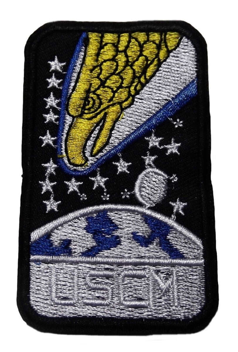 Screaming Eagle Patch