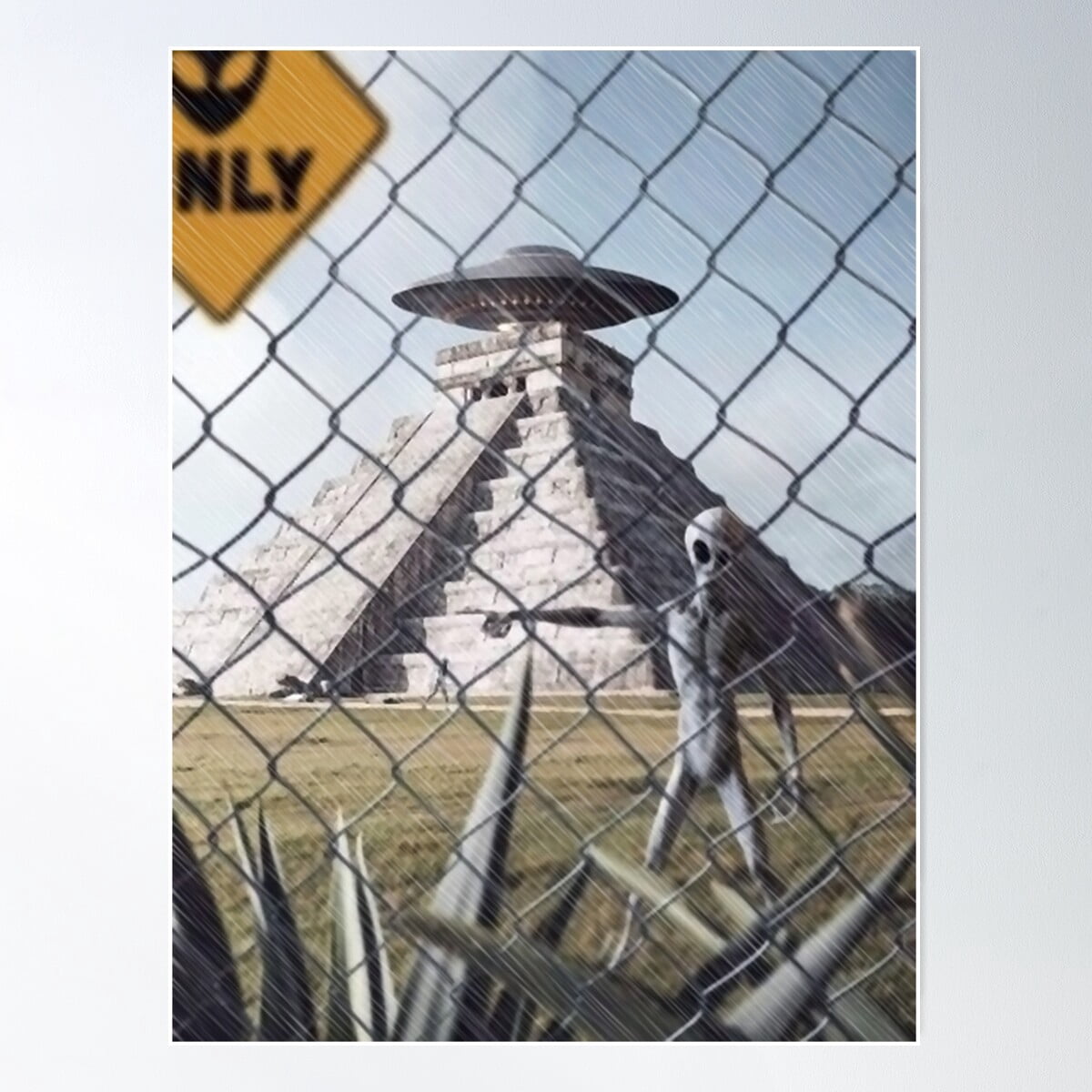 Aliens Only Poster Wall Art, Modern Wall Decor For Living Room Bedroom ...
