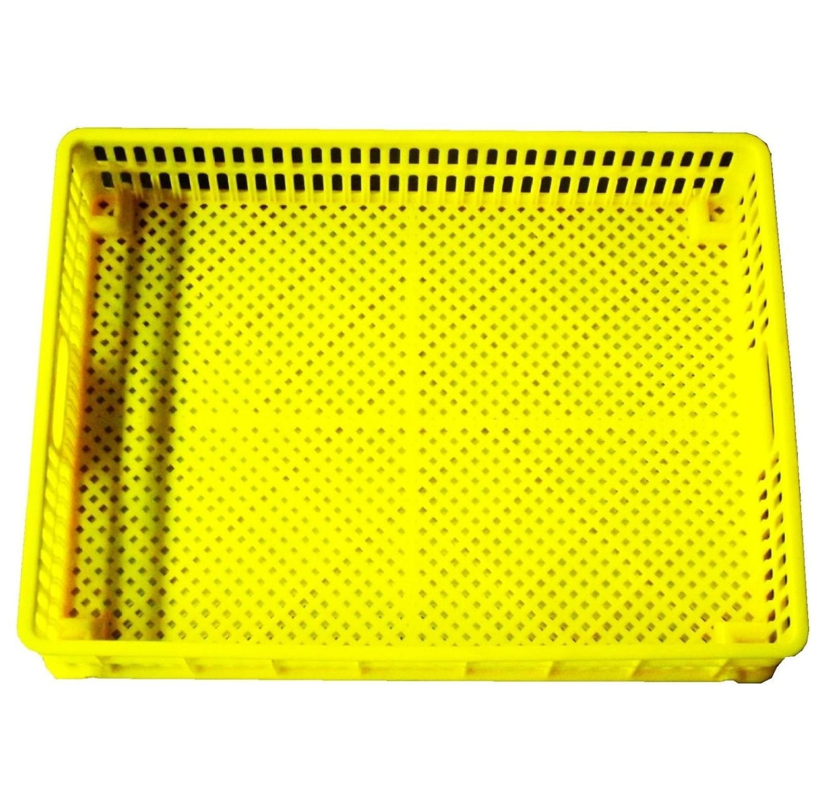 Alieon HATCHER Basket Egg Tray for Our Cabinet INCUBATORS Chicken ...