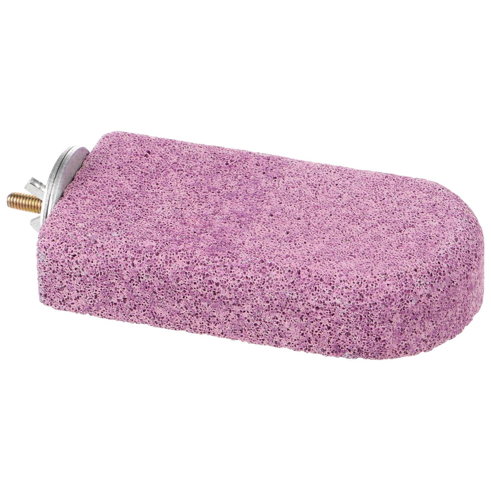 Alipis Parrot Molar Stone Platform Bird Calcium Teeth Mouth Molar ...