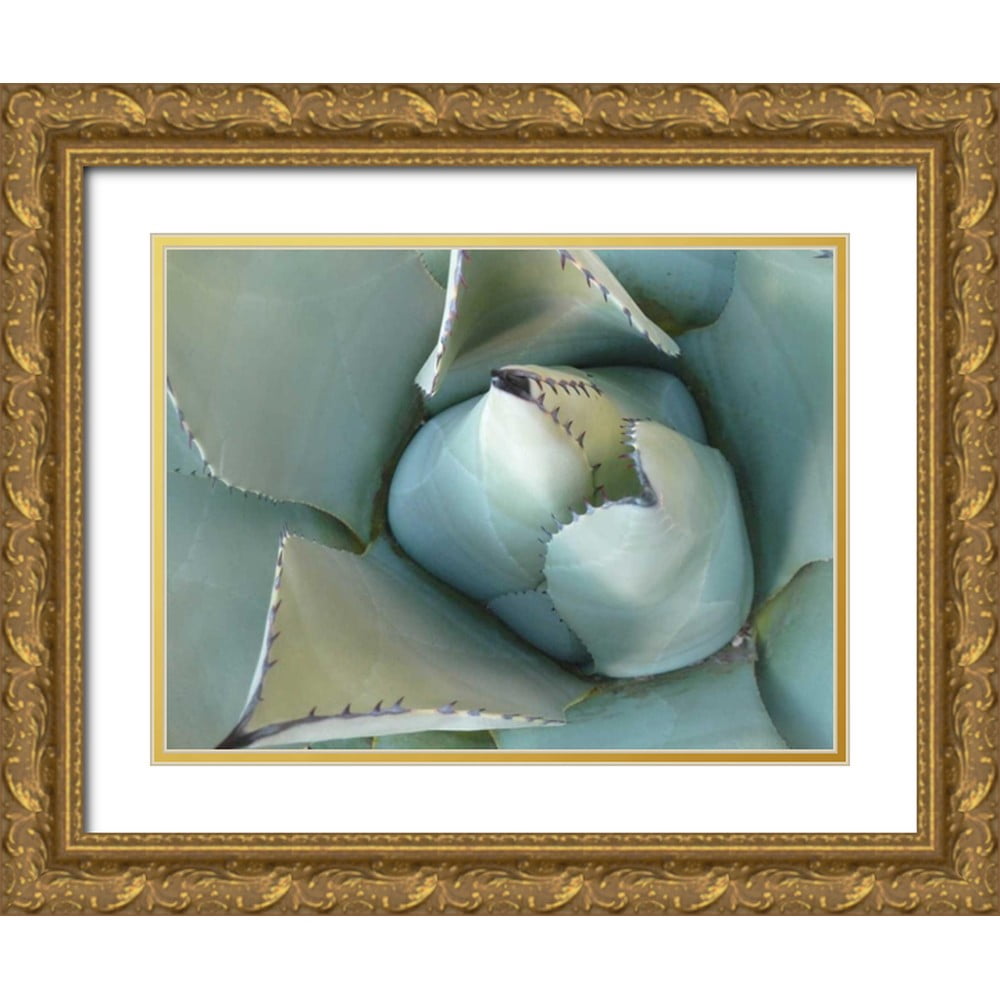 Alison Jerry 14x12 Gold Ornate Wood Framed with Double Matting Museum ...