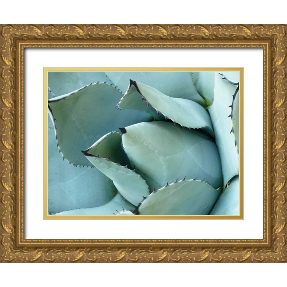 Alison Jerry 32x25 Gold Ornate Wood Framed with Double Matting Museum ...