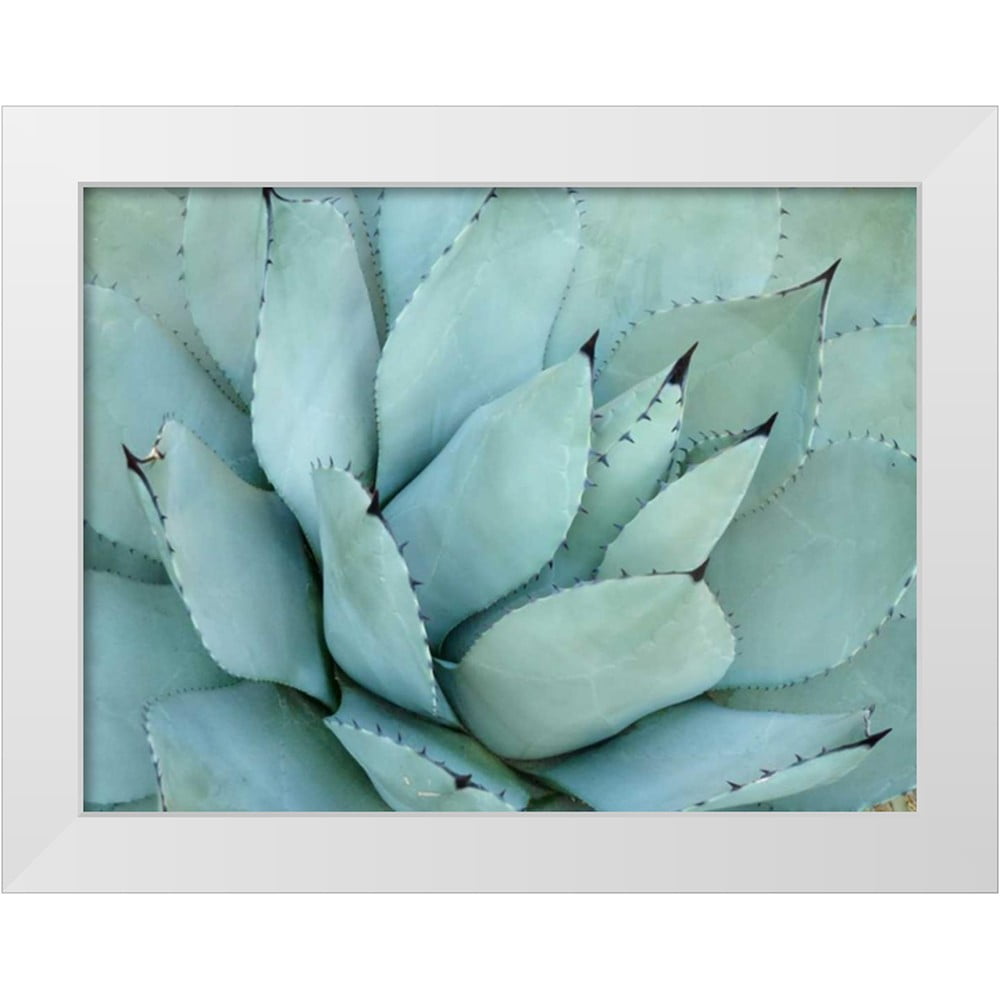Alison Jerry 32x25 White Modern Wood Framed Museum Art Print Titled ...