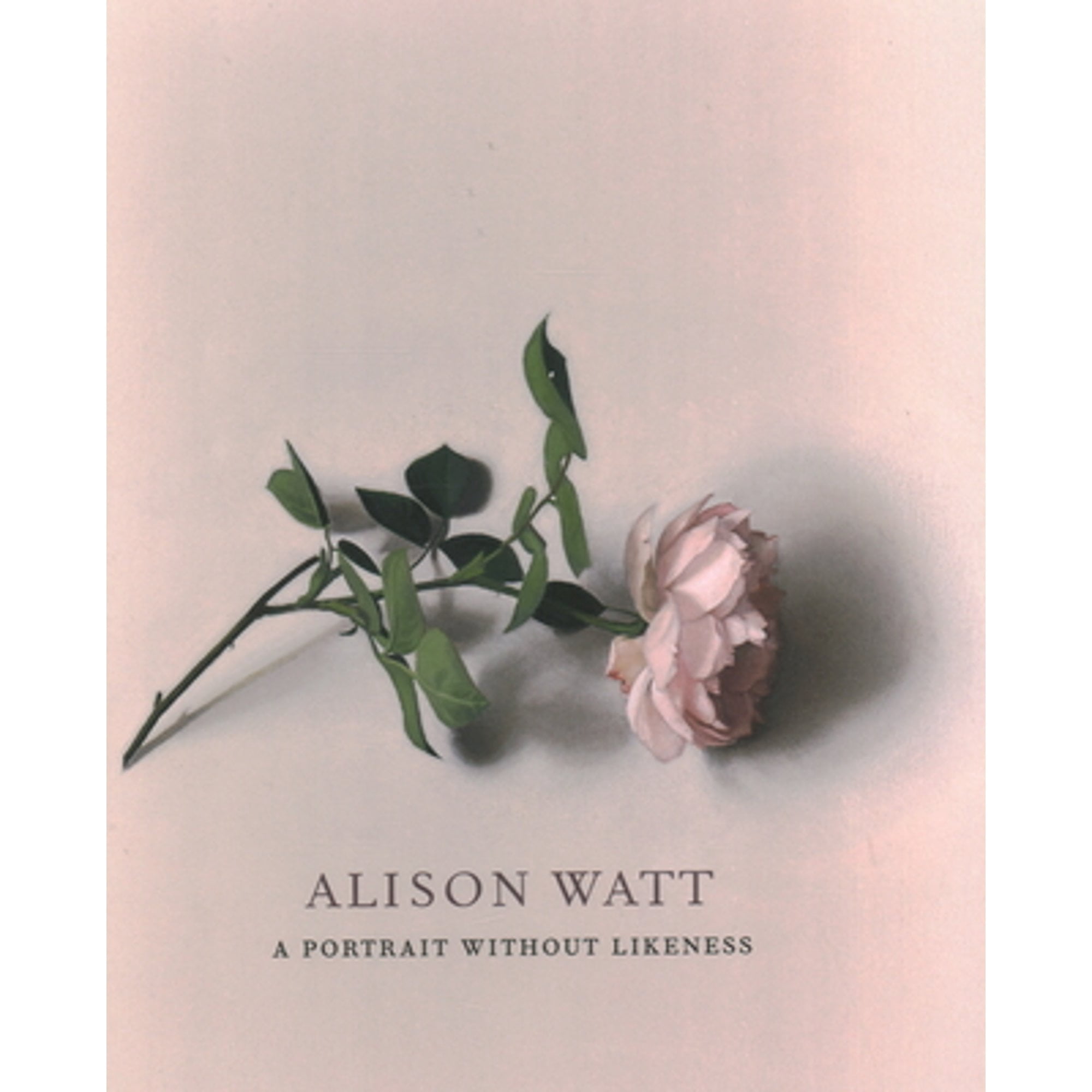 Pre-Owned Alison Watt: A Portrait Without Likeness: a conversation with ...