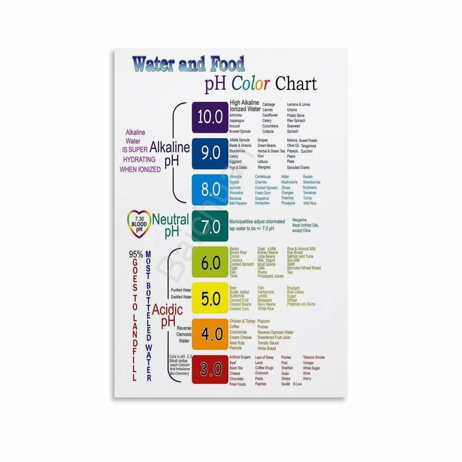 Alkaline Diet Balance Sheet Ph Food Chart Poster (3) Canvas Painting ...