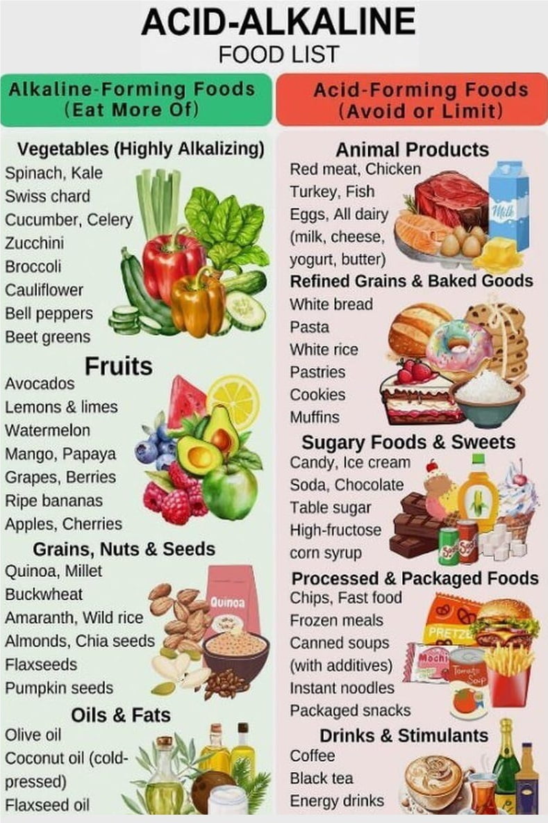 Alkaline Food List Poster Suitable For Home Kitchen Dining Room ...