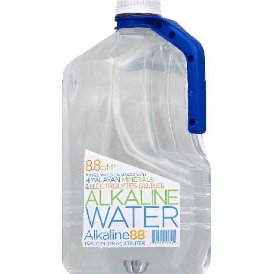 Alkaline88 Purified, Ionized Alkaline Water - Electrolytes, Pure ...
