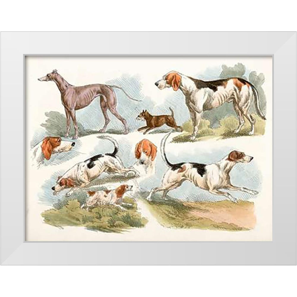 Alken, Henry Thomas 14x12 White Modern Wood Framed Museum Art Print ...