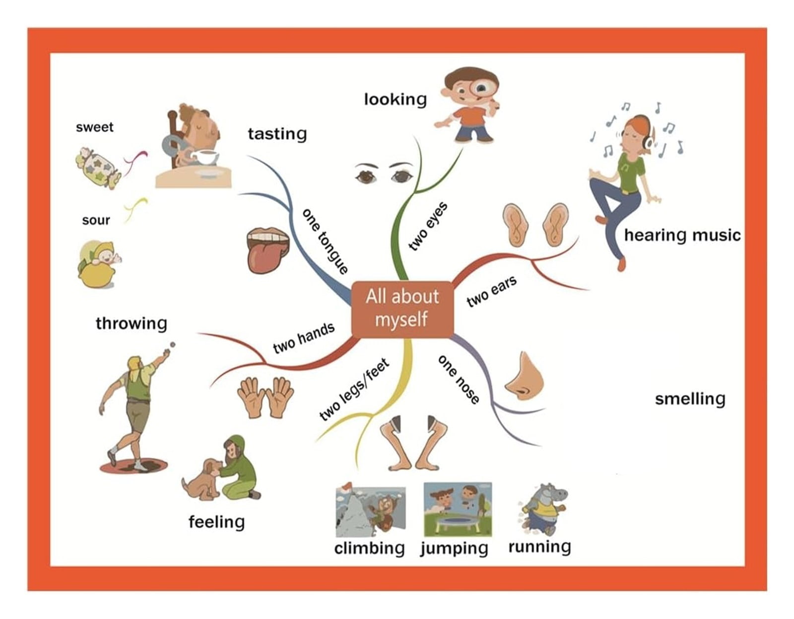 All About Me Body Poster for Kids - Educational Self-Discovery Chart ...