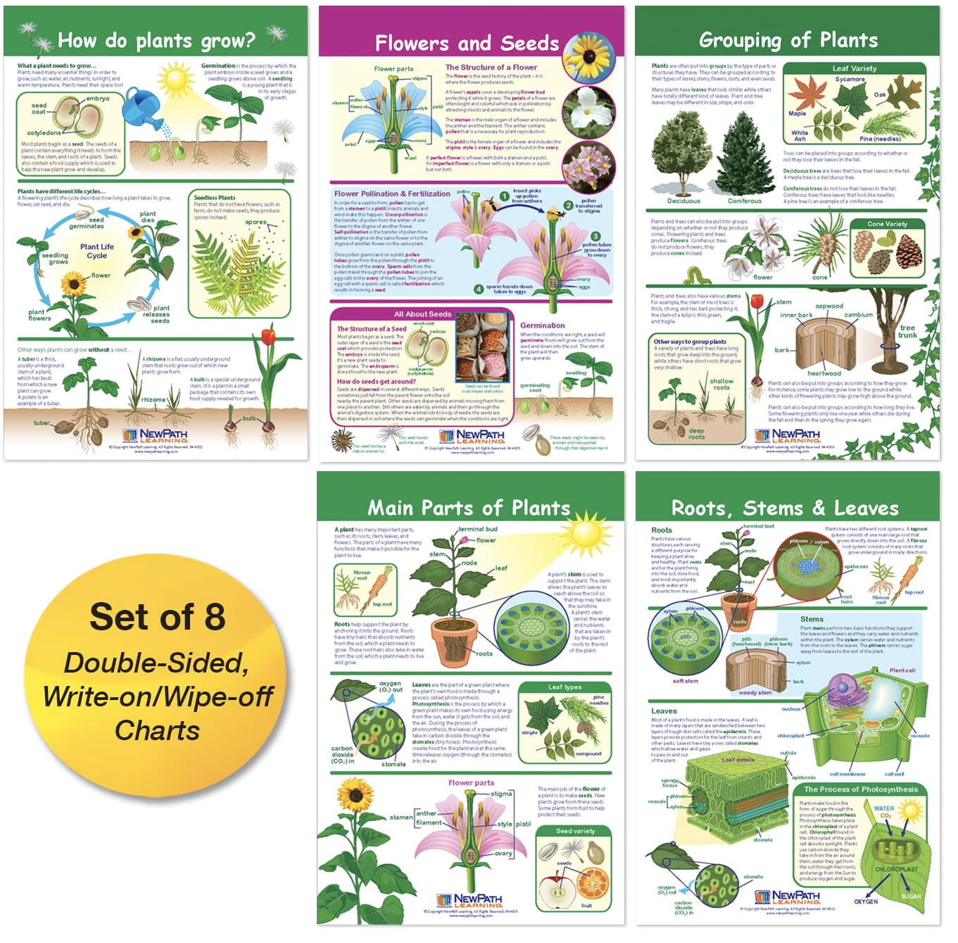 All About Plants Bulletin Board Charts, Set of 5 - Walmart.com