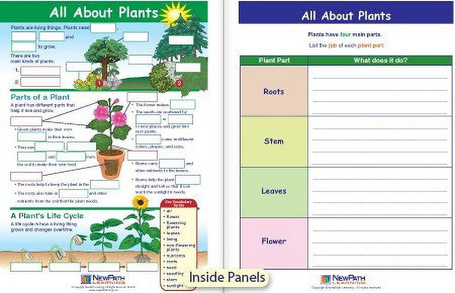 All About Plants Visual Learning - Walmart.com