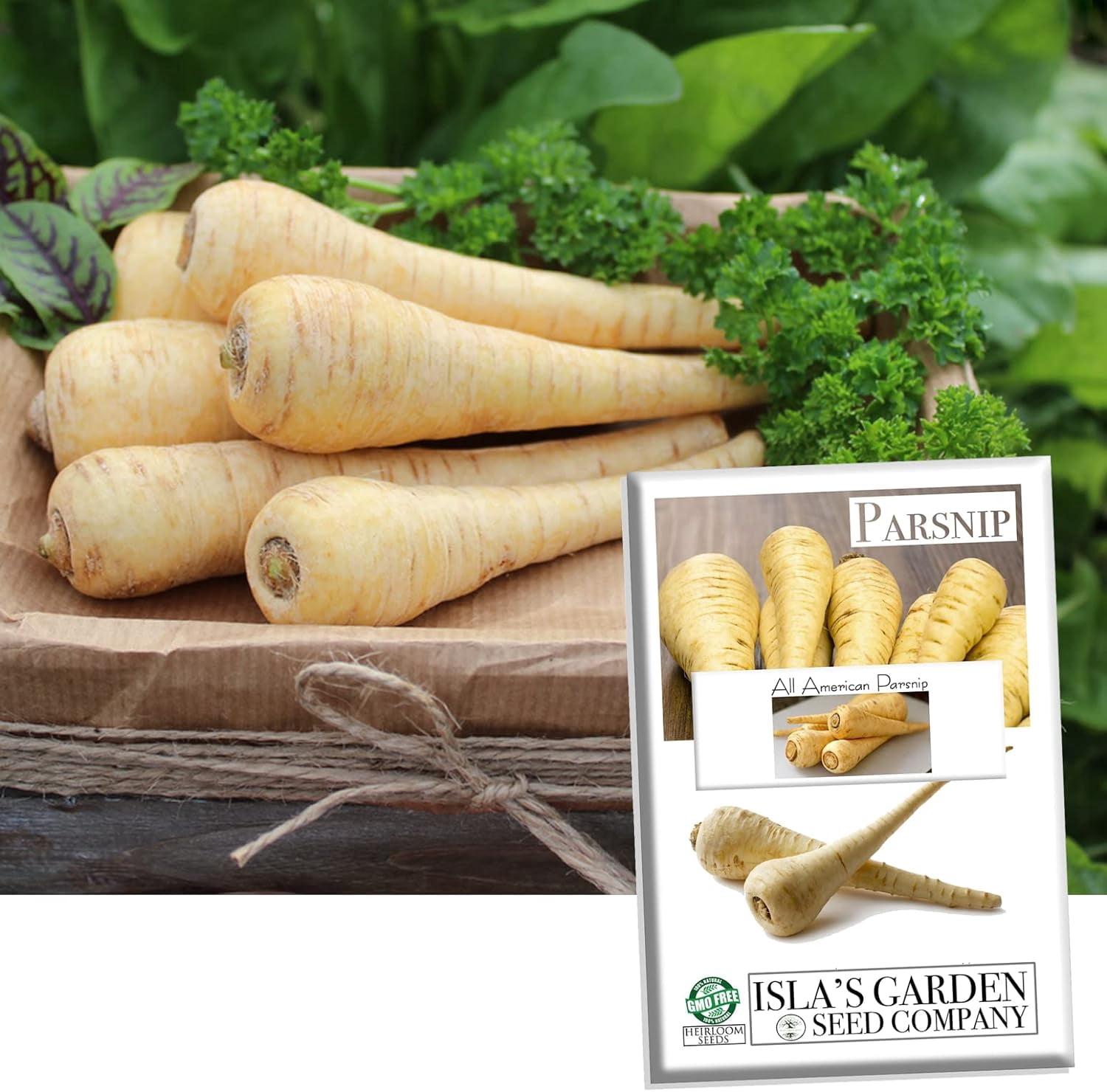 All American Parsnip Seeds, 300 Heirloom Seeds Per Packet, Non GMO ...
