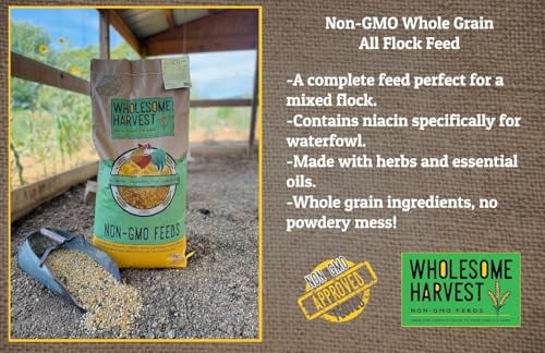 All Flock Feed, High Nutrition Layer Feed for Flocks, Non-GMO Duck ...