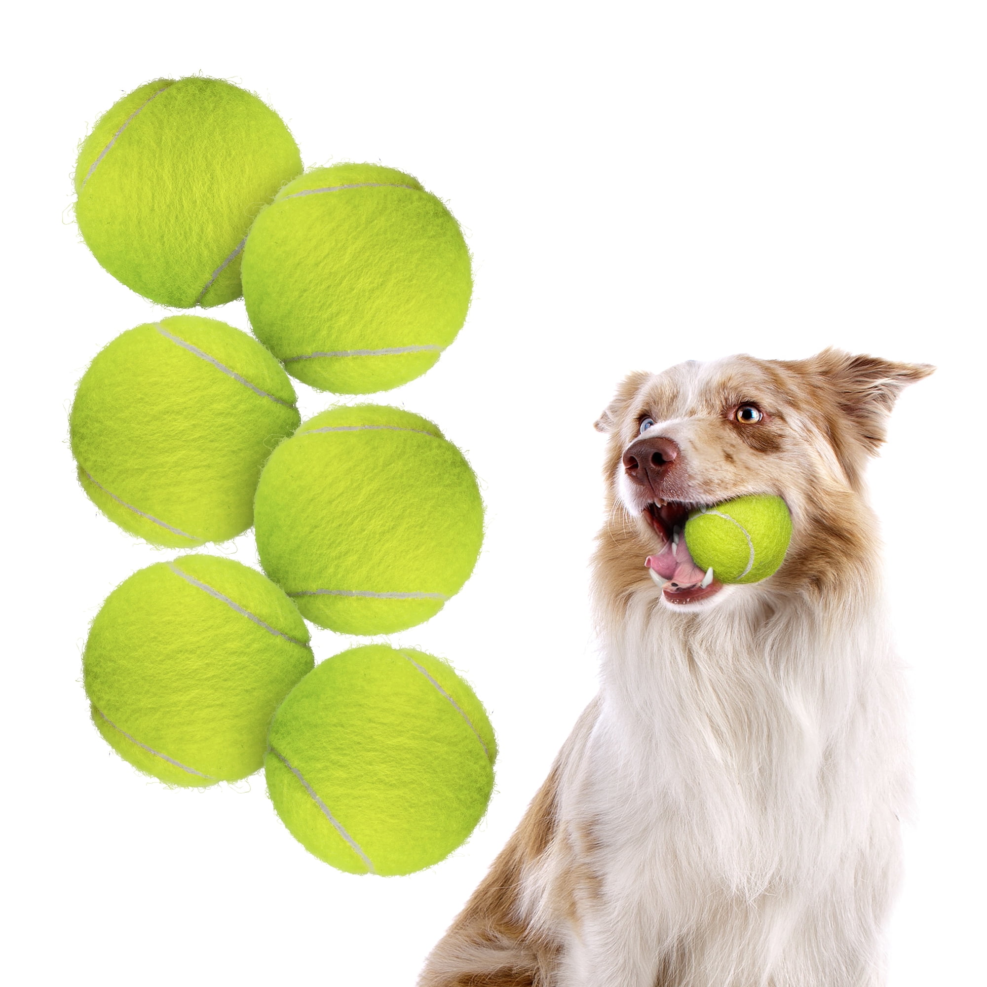 All For Paws 2.5-inch Dog Tennis Ball Toy, 6pcs Fetch Balls for Medium ...