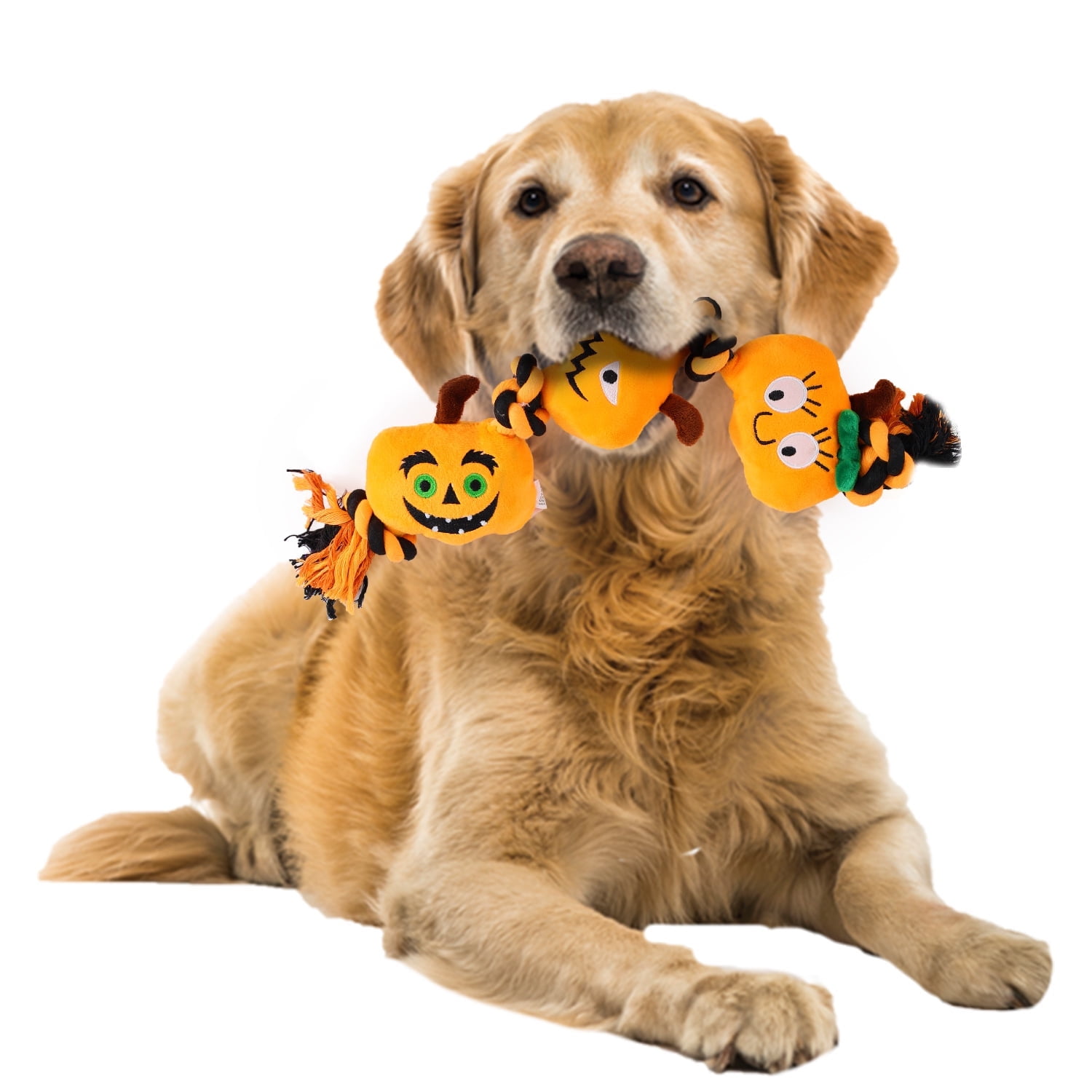 All For Paws Halloween Dog Plush Squeaky Toy with Chewing Rope, Pumpkin ...
