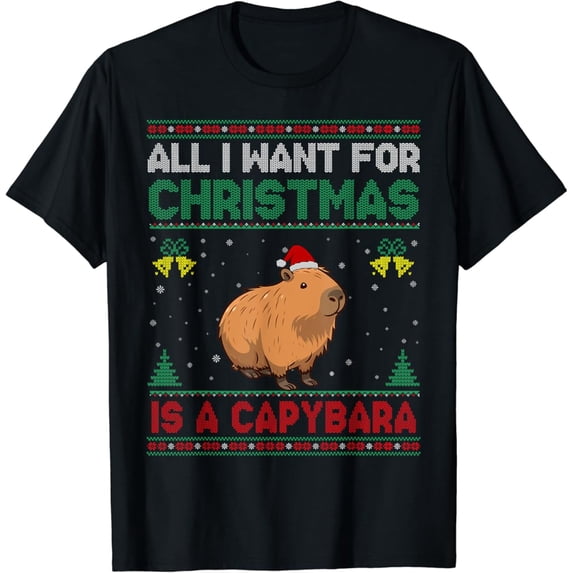 All I Want For Is A Capybara Sweater T-Shirt - Walmart.com