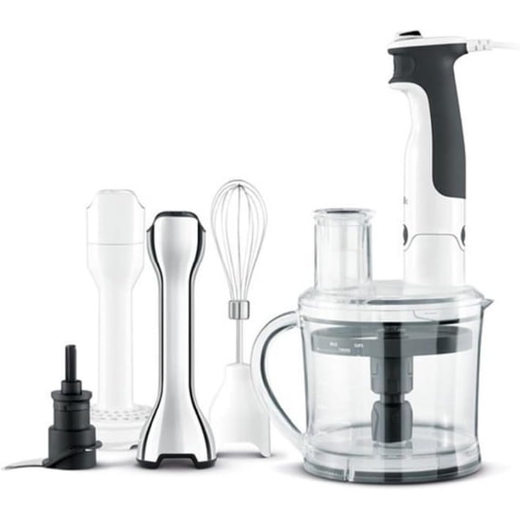 All In One Processing Station and Immersion Blender, Brushed Stainless ...