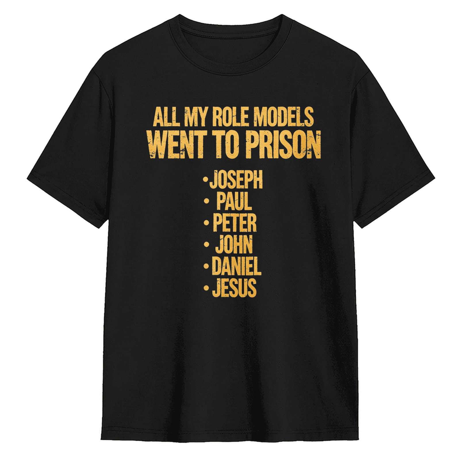 All My Role Models Went To Prison Graphic Tee for Men and Women ...