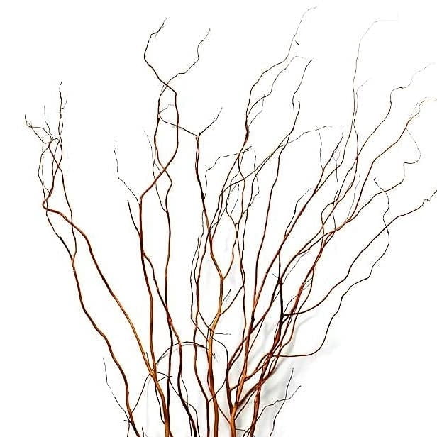All Natural Curly Willow Branch Tips 12-30 Inches Long - Great for ...