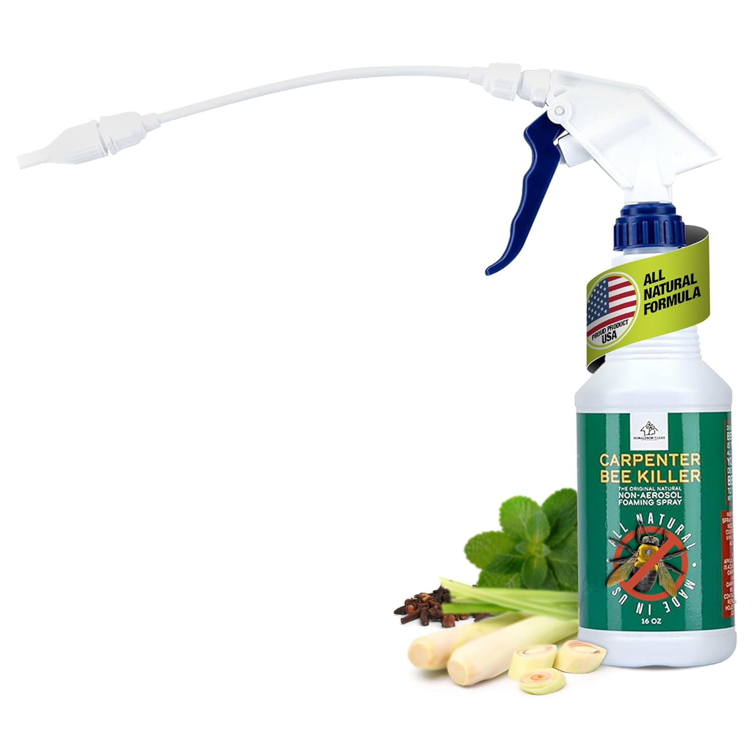 All-Natural Foaming Spray - Carpenter Insect Bee Killer - Reliable ...