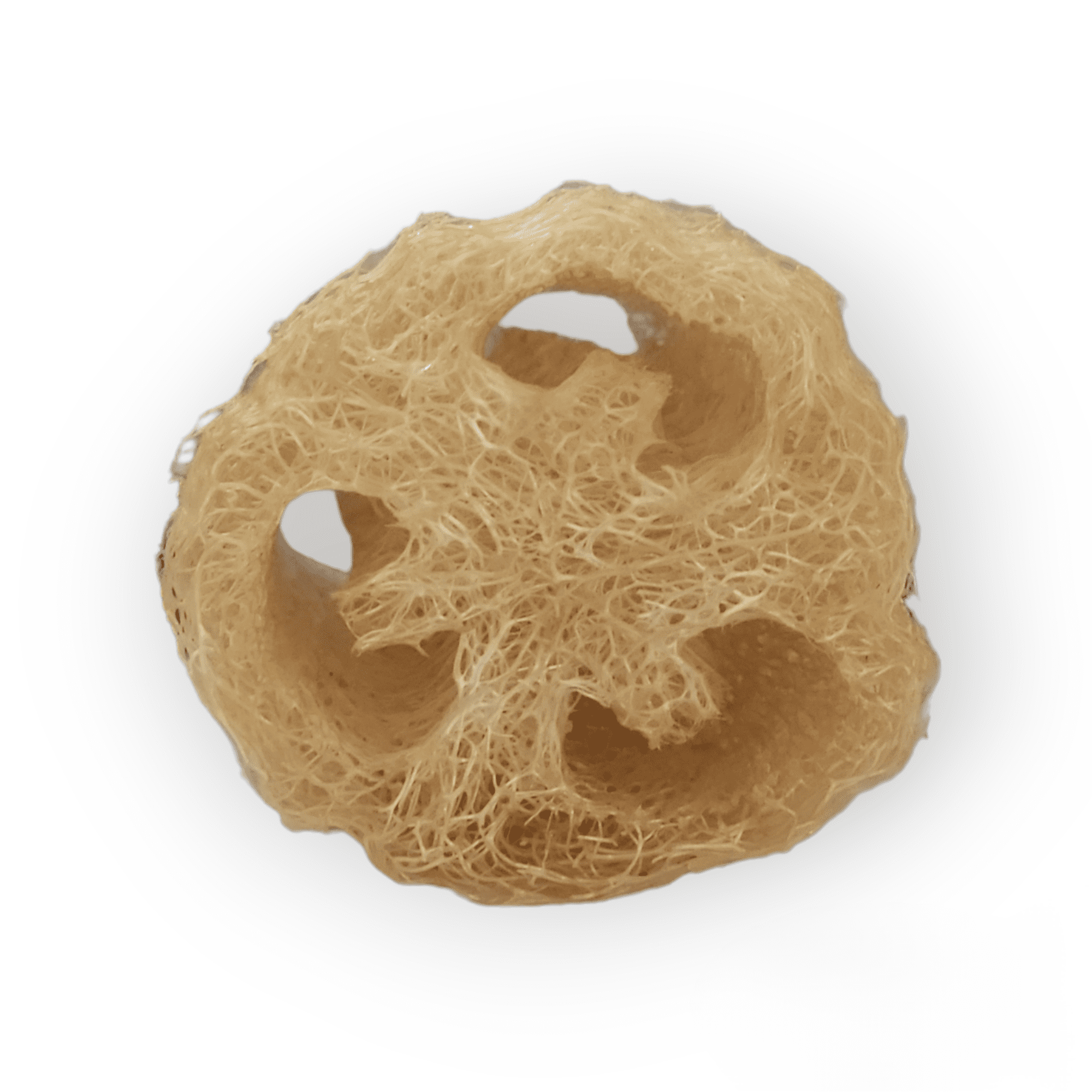 All Natural Luffah Sponge, 6 inch - Walmart.com