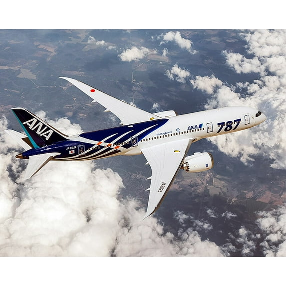 All Nippon Airways Boeing 787 Dreamliner - 20x30 Inch Glossy Laminated ...