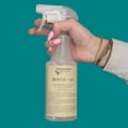All Purpose Scented Cleaner - Walmart.com