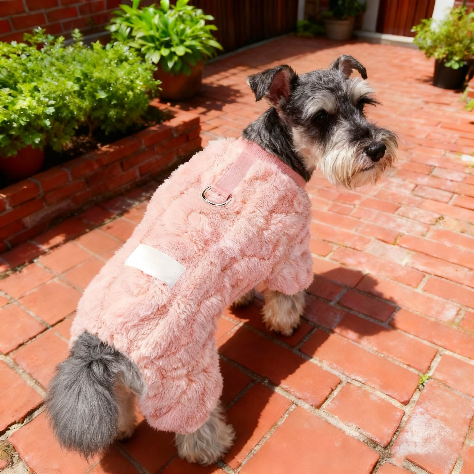 All Season Dog Apparel Soft Breathable Fabric Comfort Wear For Small ...