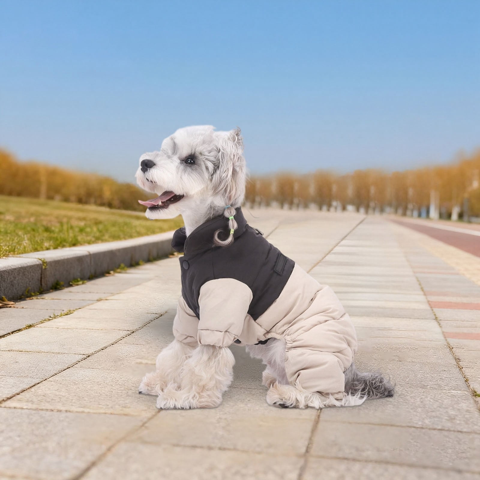 All-Season Four-Legged Warm Cozy Soft Winter Coat for Small Medium Dogs ...