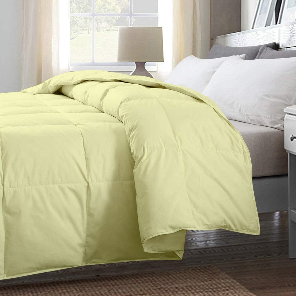 All-Season New Look Box Comforter OverSized 98 by 120 inch Ivory Solid ...