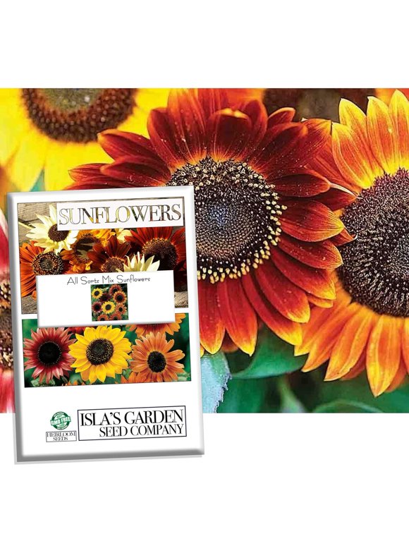 Sunflower Flower Seeds in Seed Gardening - Walmart.com