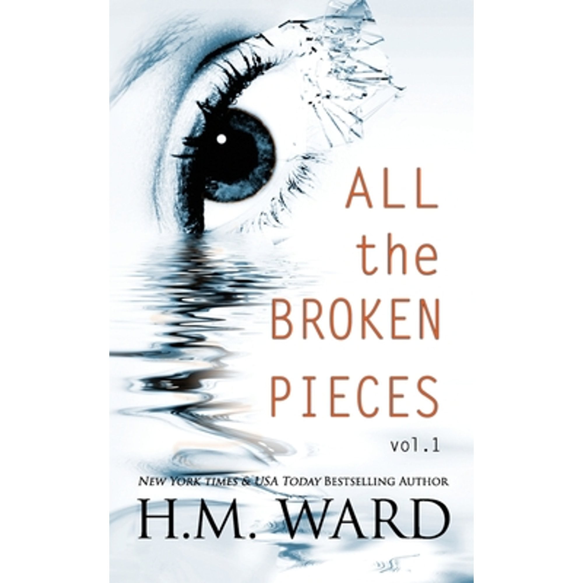 All The Broken Pieces: All The Broken Pieces Vol. 1 (Paperback ...