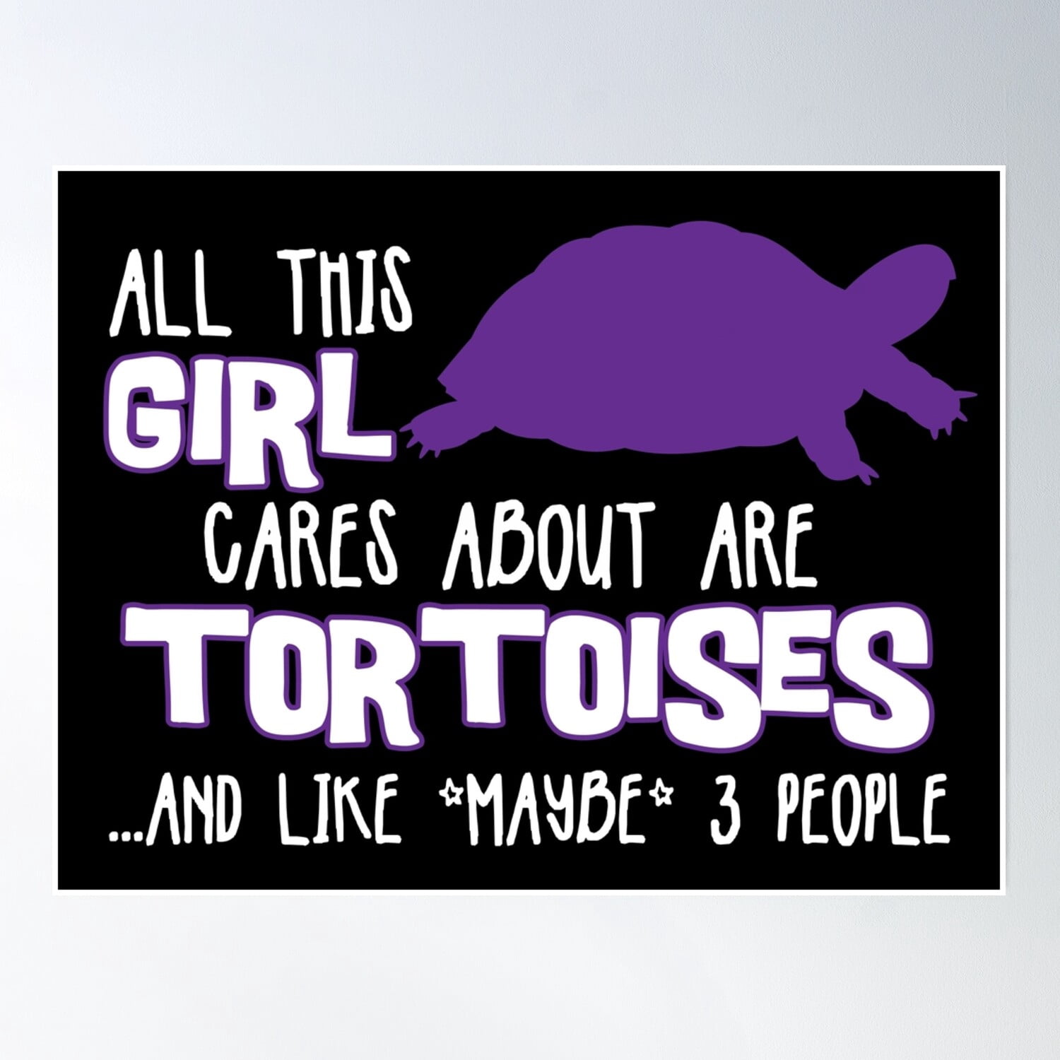 All This Girl Cares About Are Tortoises ...And Like *Maybe* 3 People ...