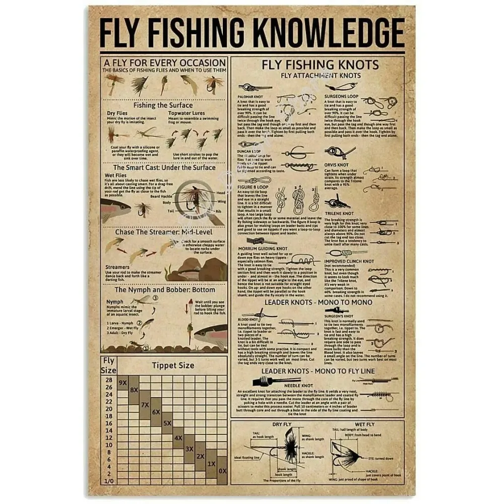 All Types of Shark Poster Notice for Diver for Decor Bathroom Gift for ...