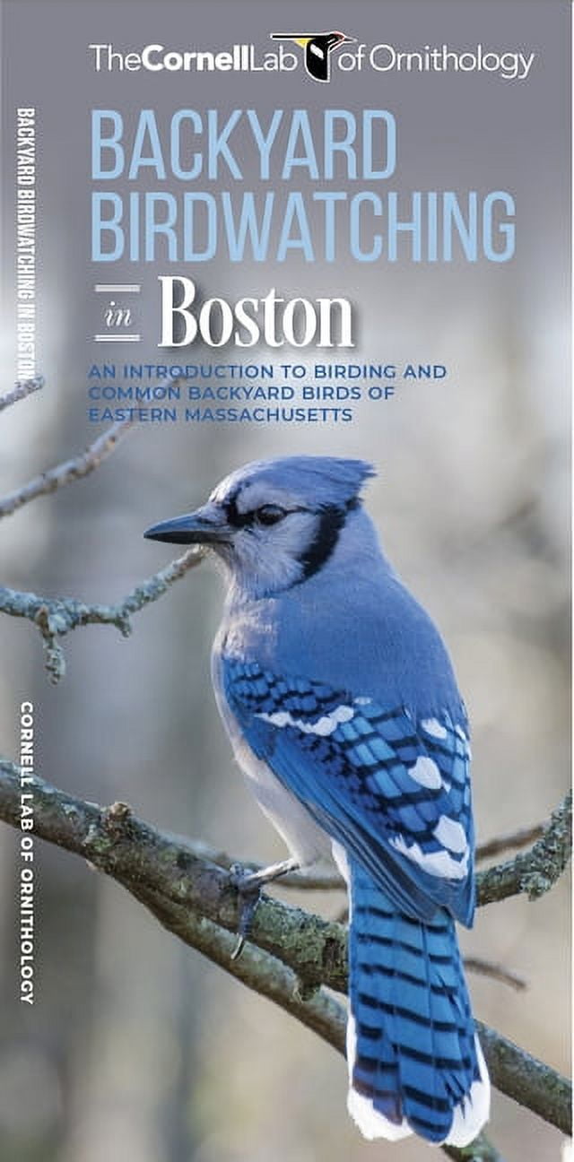 All about Birds Pocket Guide: Backyard Birdwatching in Boston: An ...