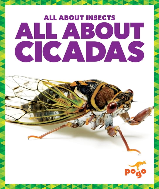 All about Insects All about Cicadas, (Hardcover) - Walmart.com