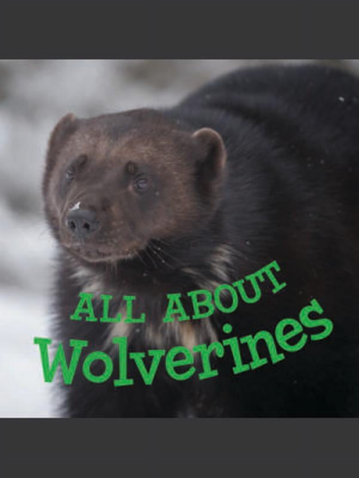 All about Wolverines: English Edition - Walmart.com