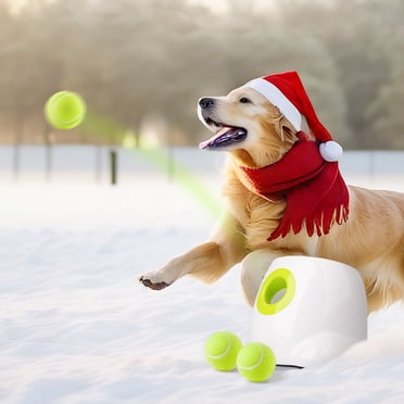 Free Shipping! Automatic Ball Launcher for dogs Toy Ball Pitching ...