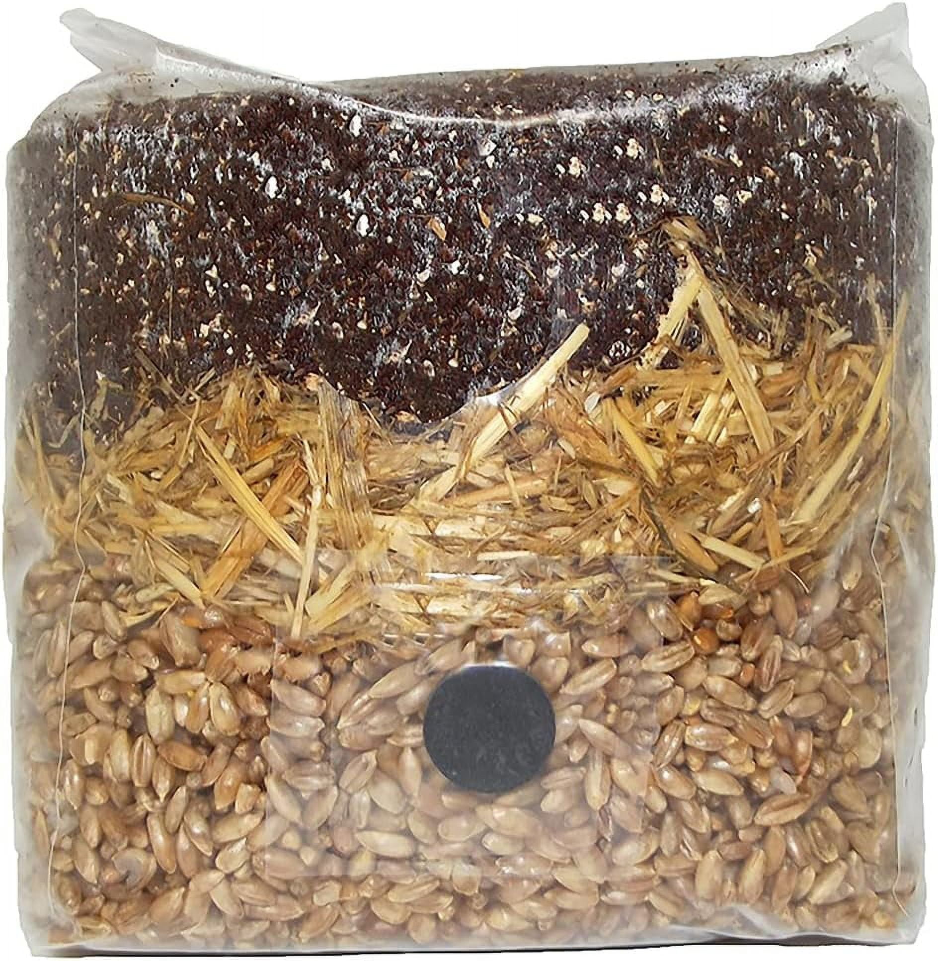 All in One Mushroom Grow Bag - Walmart.com
