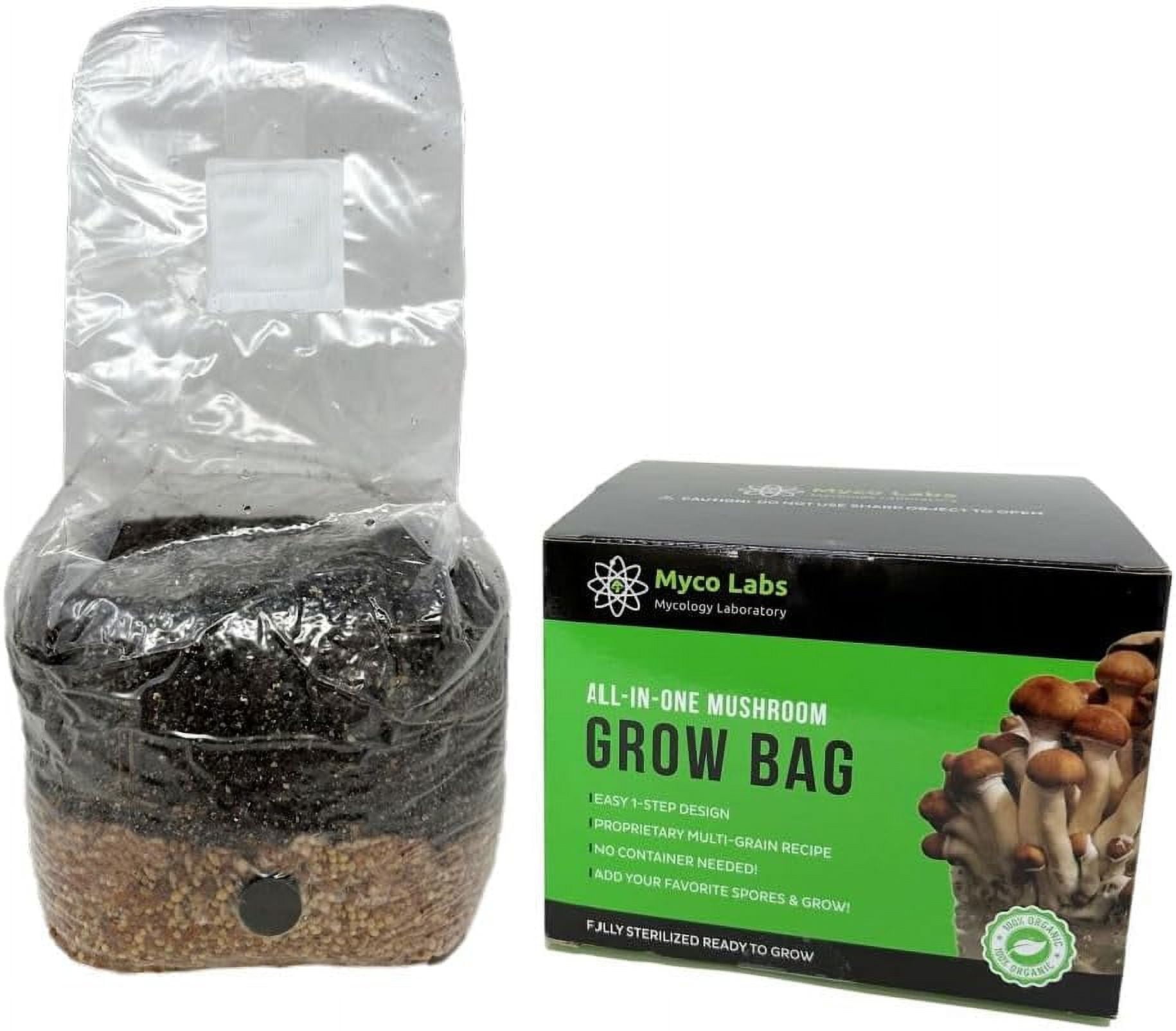 All in One Mushroom Grow Kit in a Bag with Sterilized Grains and ...