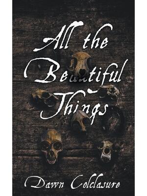 All the Beautiful Things - Walmart.com