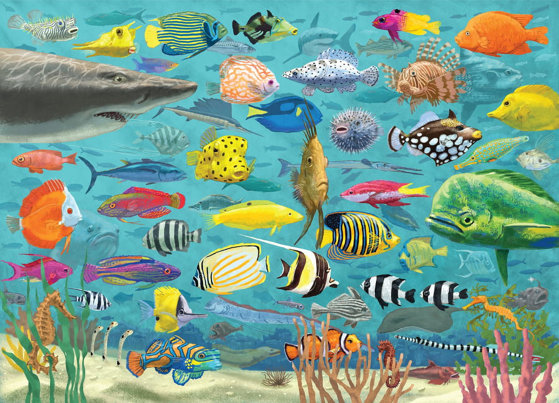 All the Fish 1000 Piece Jigsaw Puzzle (Other) - Walmart.com