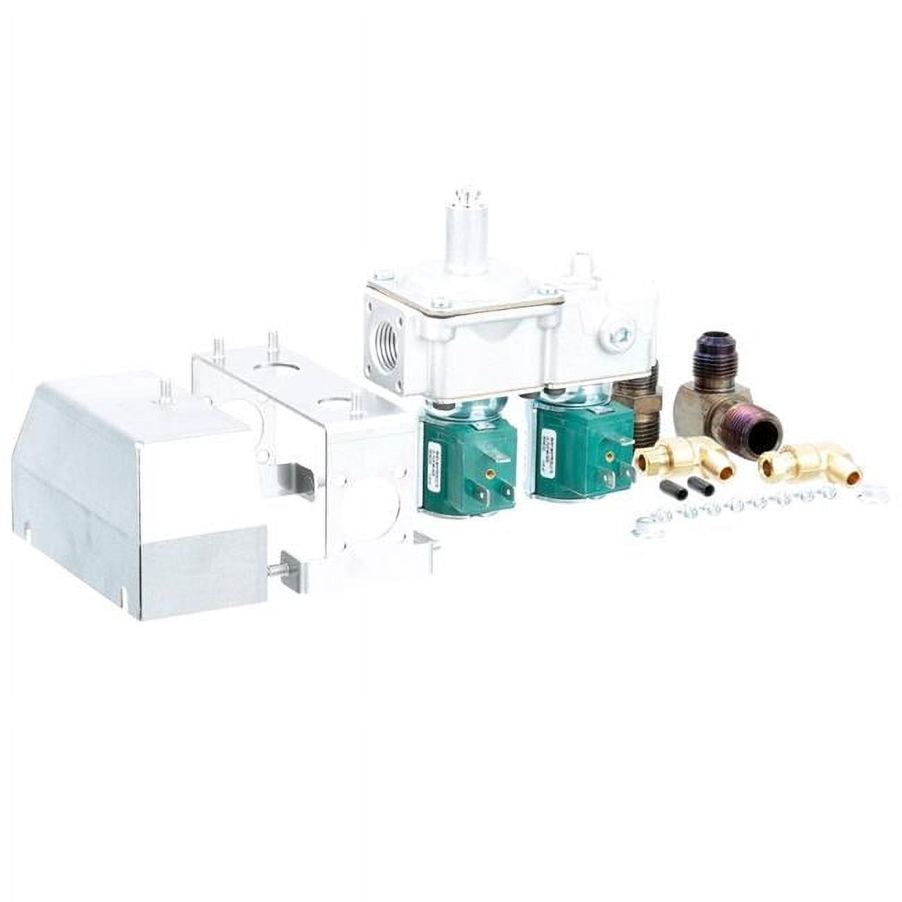 AllPoints 0.5 in. 8010988 Dual Gas Solenoid Valve - Natural Gas - FPT ...