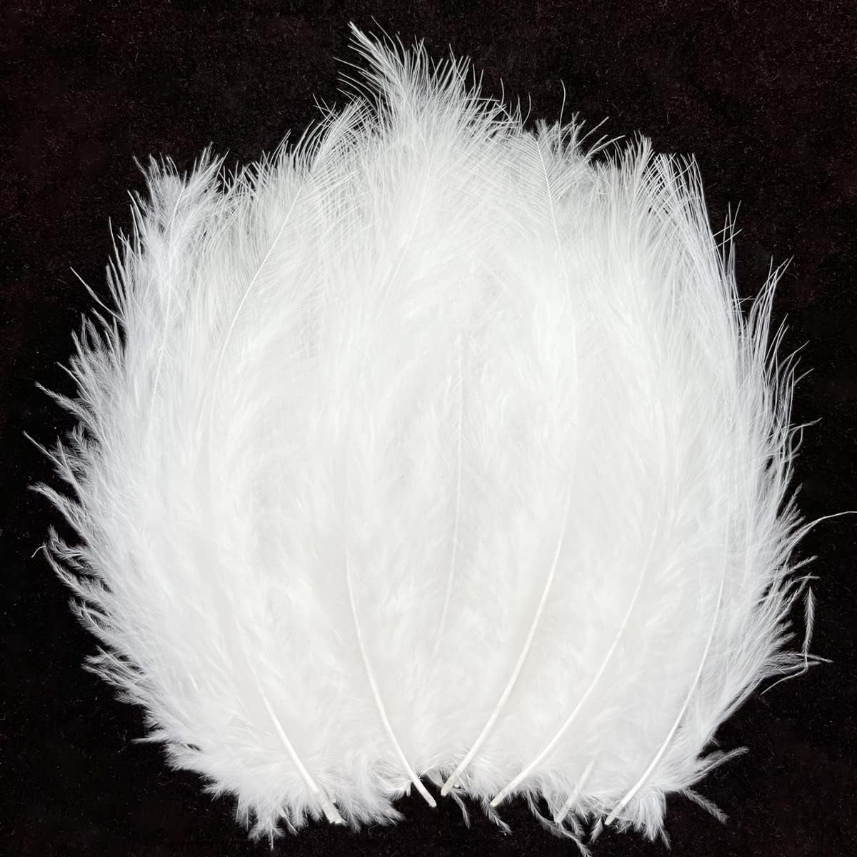 AllWays Plaza 100pcs White Feathers Fluffy Turkey Marabou Feathers 4-6 ...