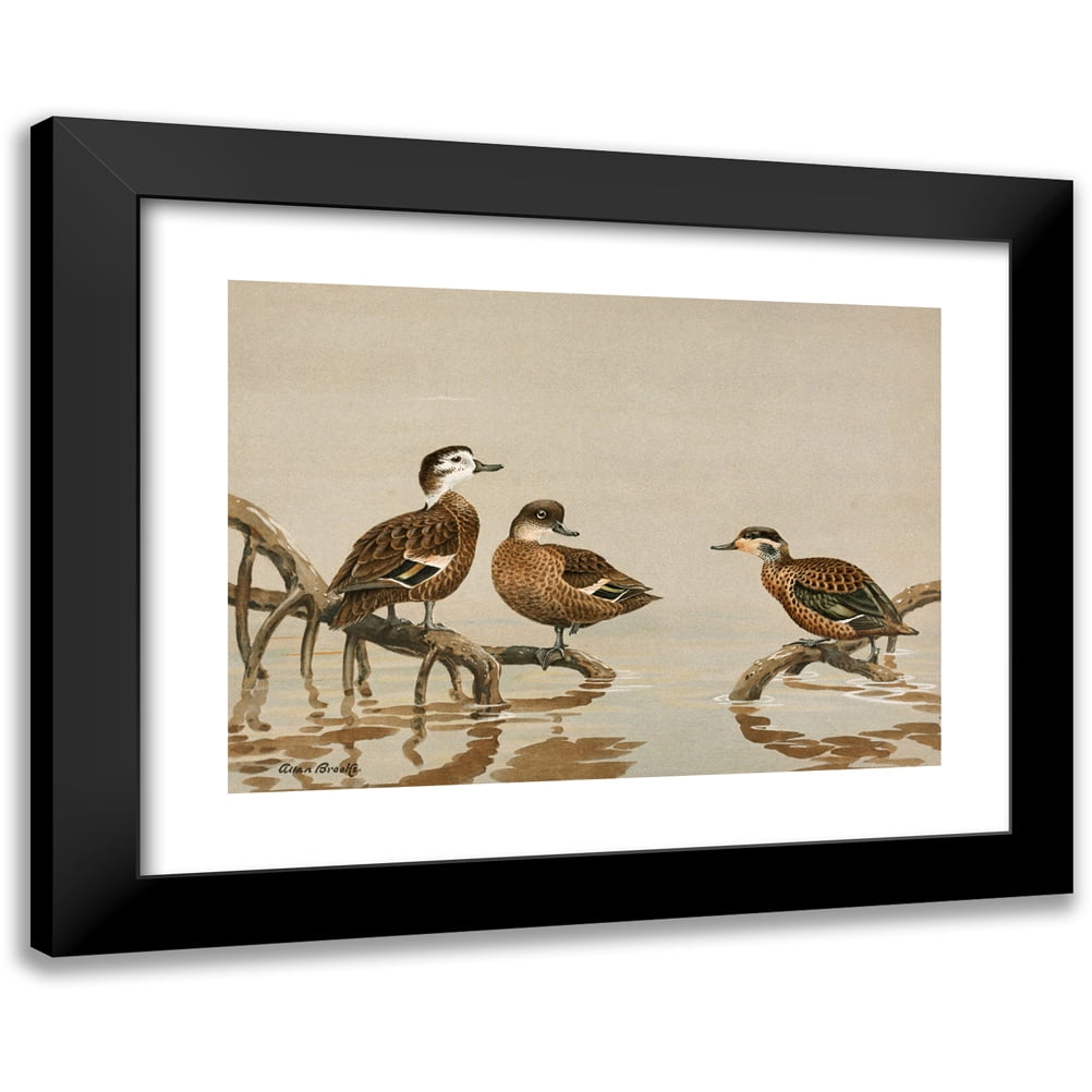 Allan Brooks 24x18 Black Modern Framed Museum Art Print Titled ...