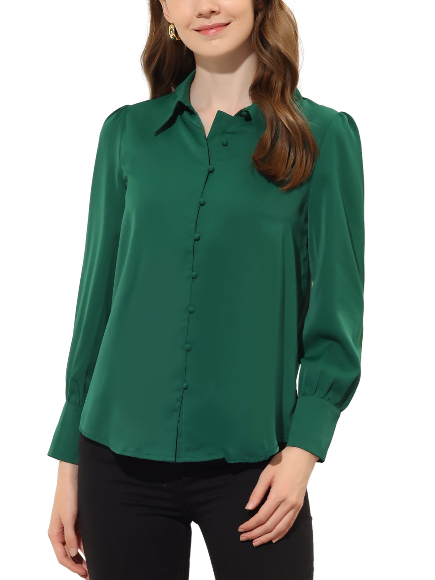 Allegra K Women's Vintage Point Collar Long Sleeve Chiffon Button Up ...