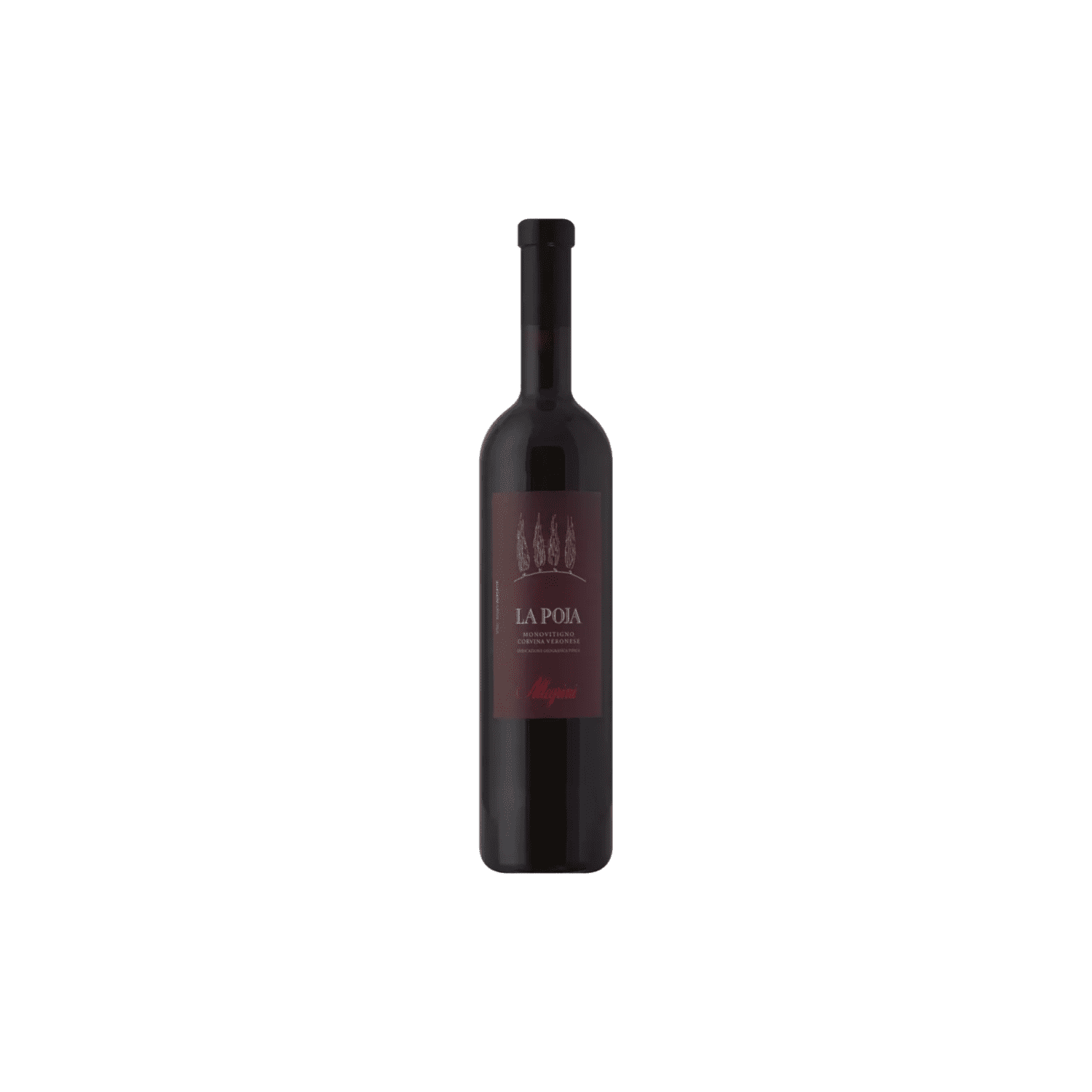 Allegrini La Poja Dry Red Blend Wines Amarone, 750 ml Glass Bottle ...