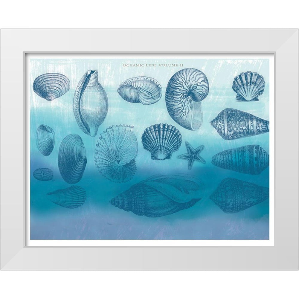 Allen, Candace 18x15 White Modern Wood Framed Museum Art Print Titled ...